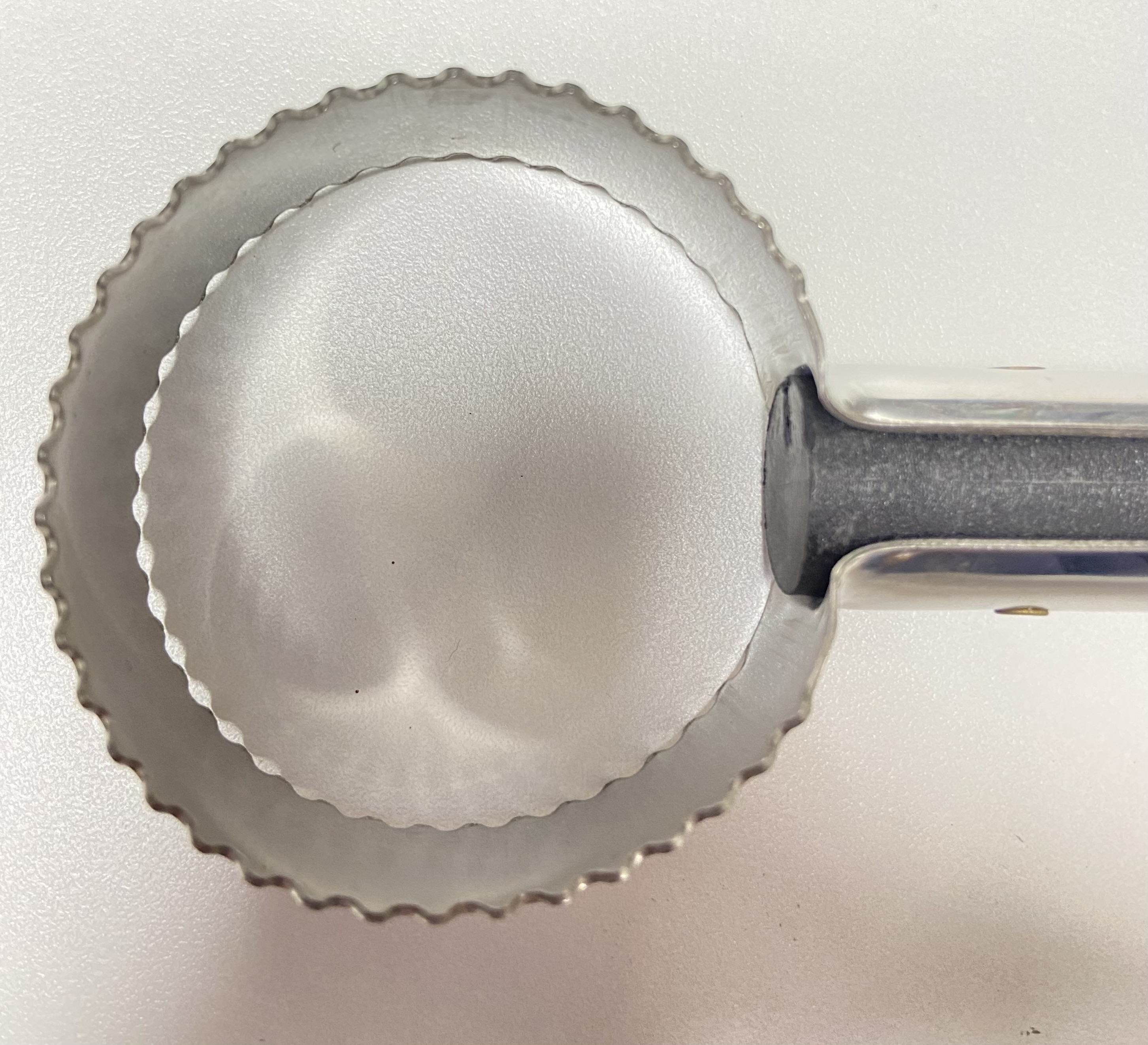 FT93009 Fish Scraper Stainless Steel Fishing Tool